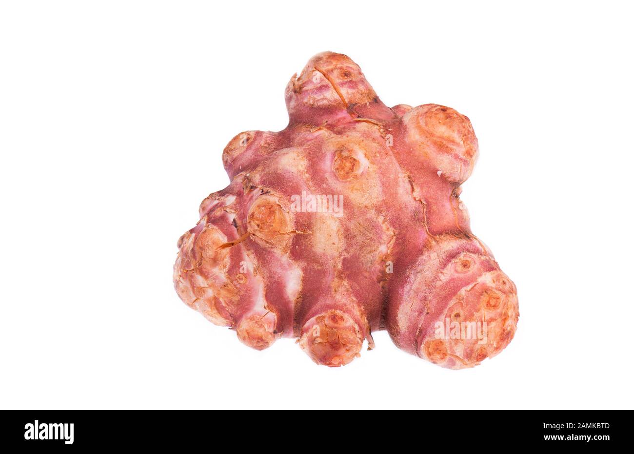 Jerusalem artichoke isolated on a white background, vegetables Stock ...