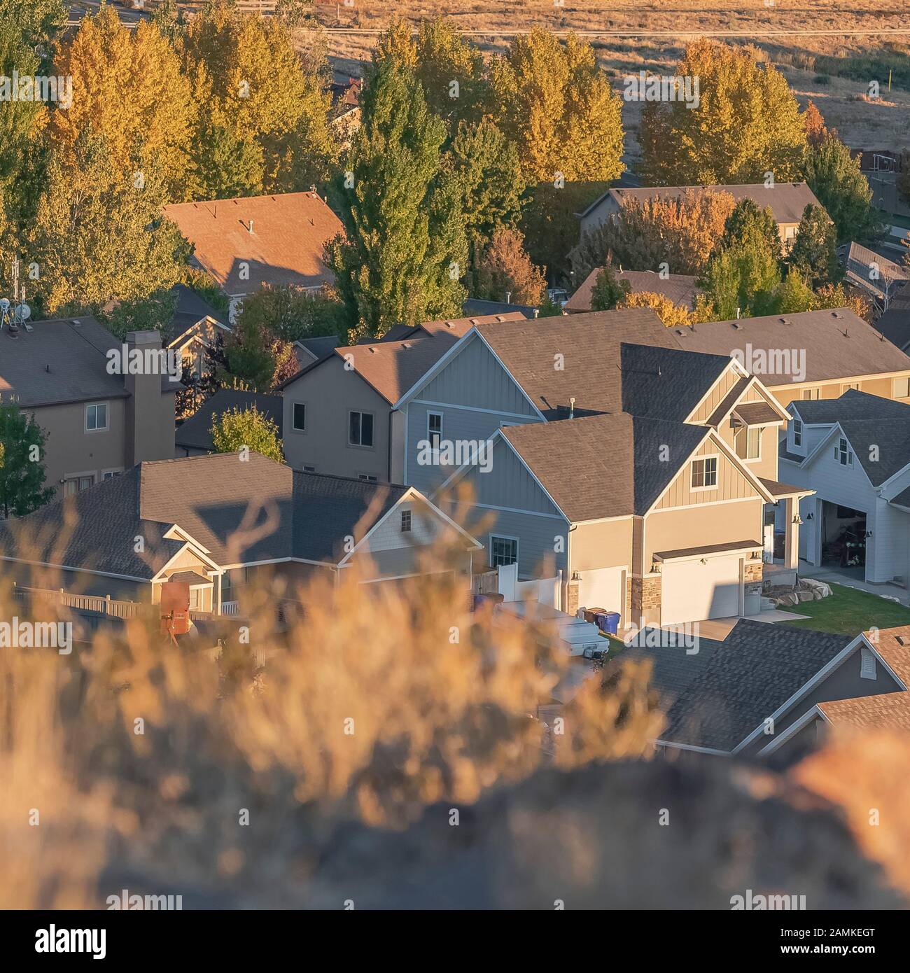 Square Cluster of houses amongst trees at sunset Stock Photo - Alamy