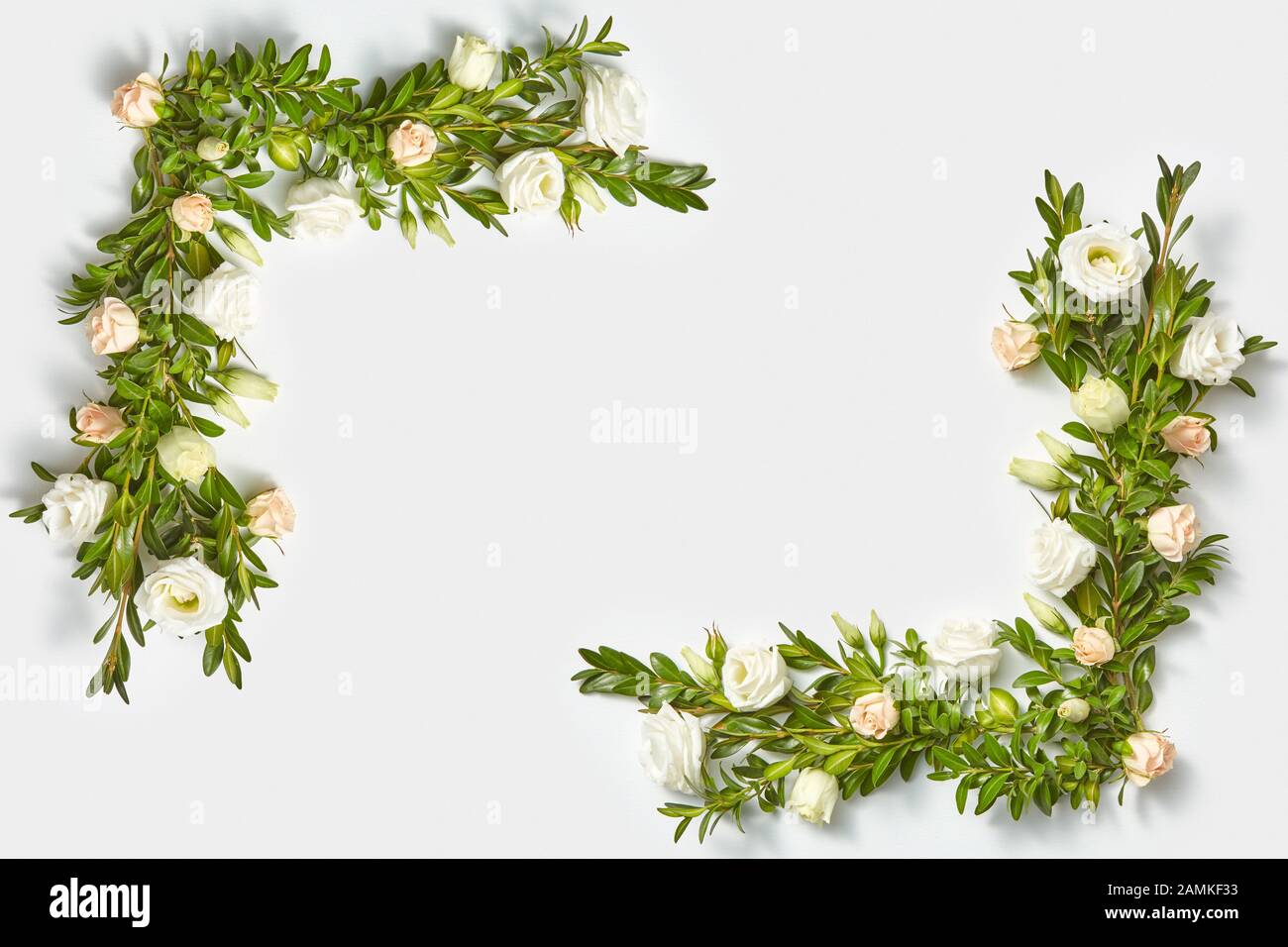 Romantic corner frame from boxwood evergreen branches with flowers on a ...