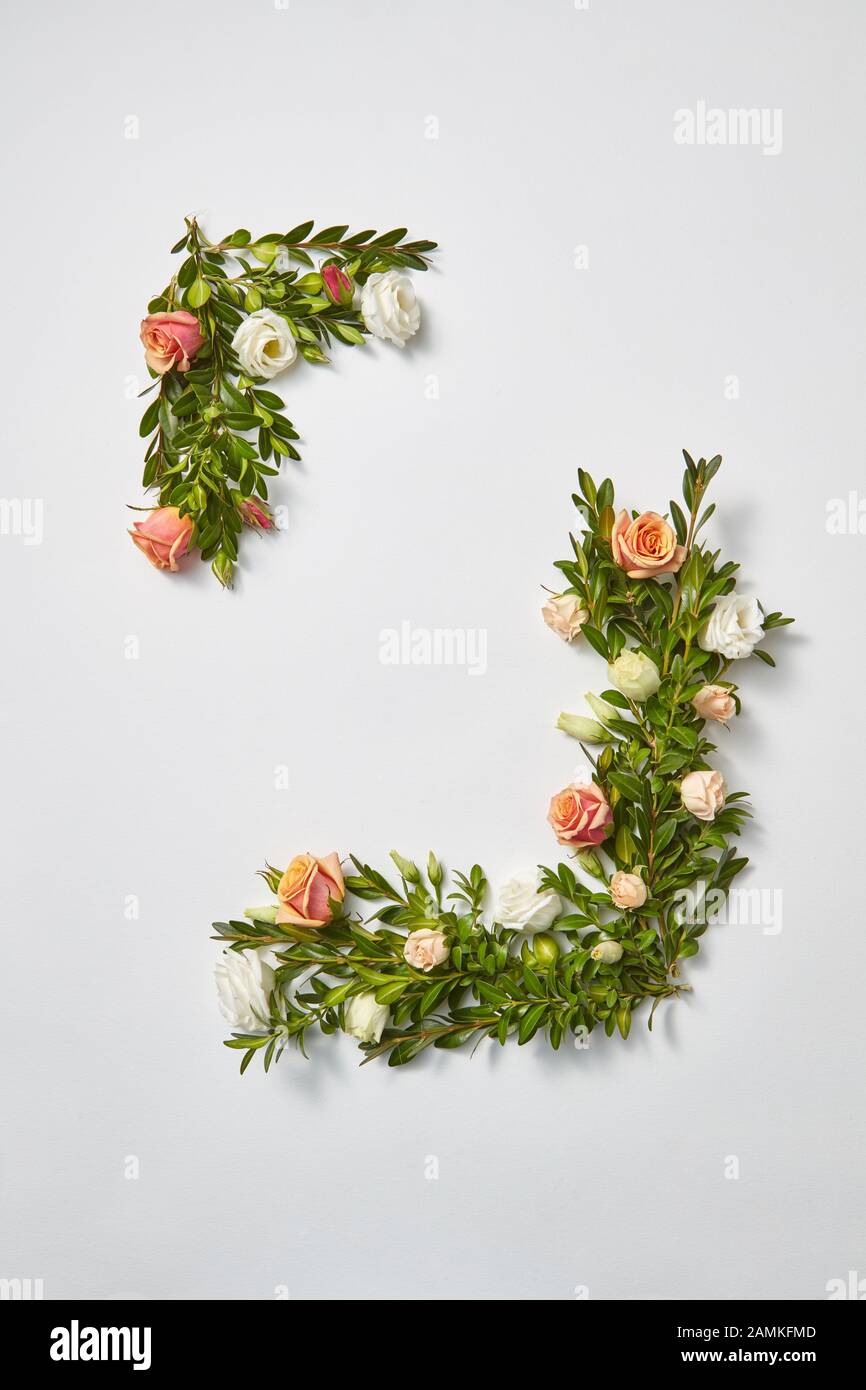 Evergreen Border Corner 5 Tips For Beautifying Your Newly Constructed