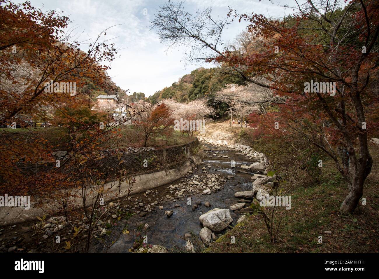 Japan landscape photography hi-res stock photography and images - Alamy
