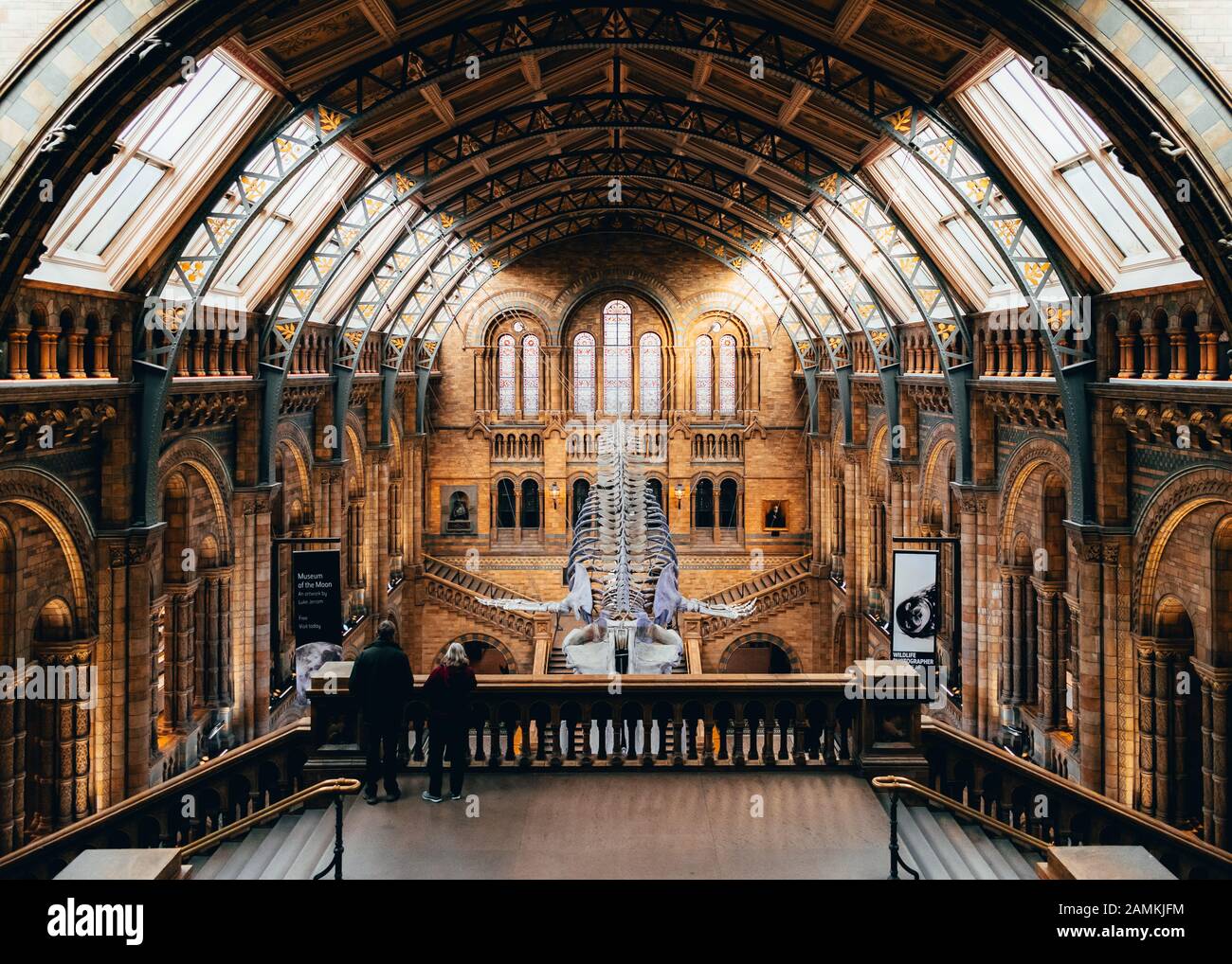Jurassic hall museum of natural history hi-res stock photography and ...