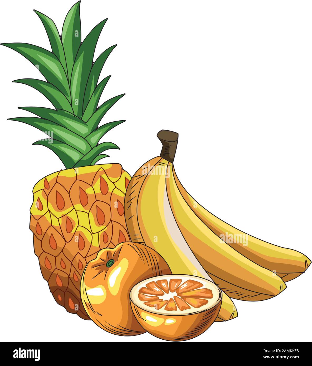 Pineapple growth Stock Vector Images - Alamy