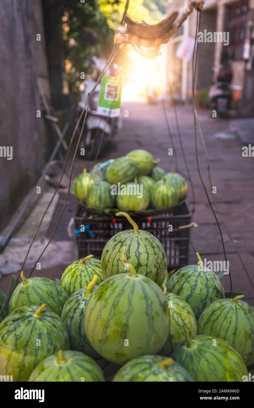 Huge watermelons for sale packed and piled in a plastic boxes to be ...