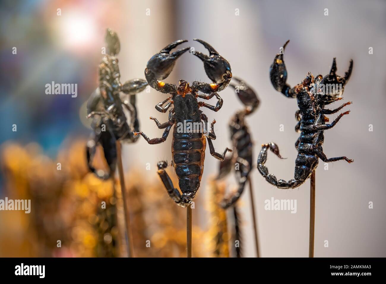 Roasted and fried scorpions on skewers for sale on a street market in ...