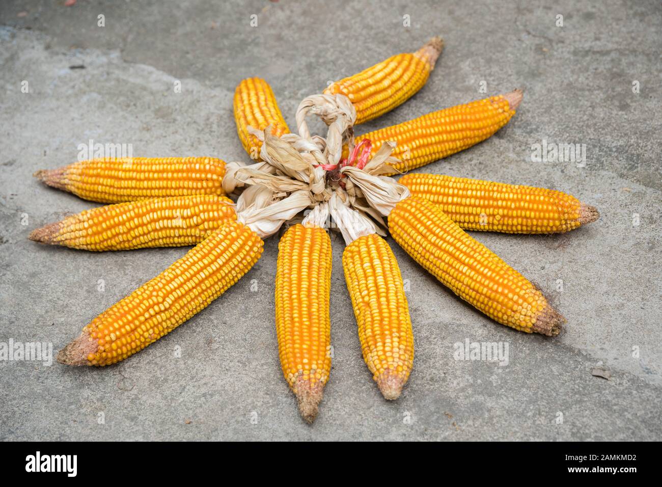 Pavement for drying grain hi-res stock photography and images - Alamy