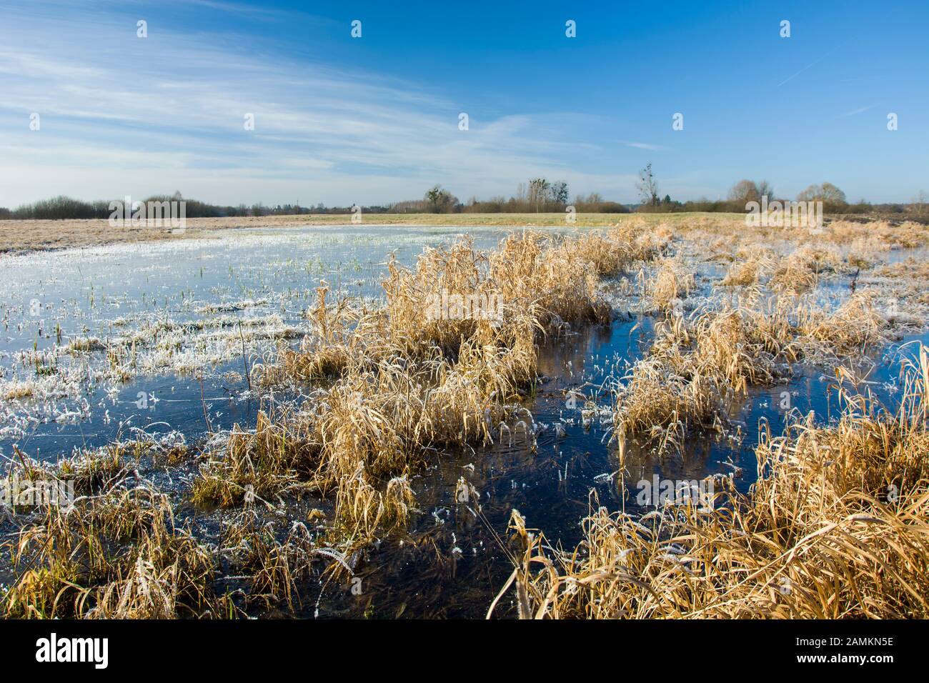 Meadow in water hi-res stock photography and images - Alamy