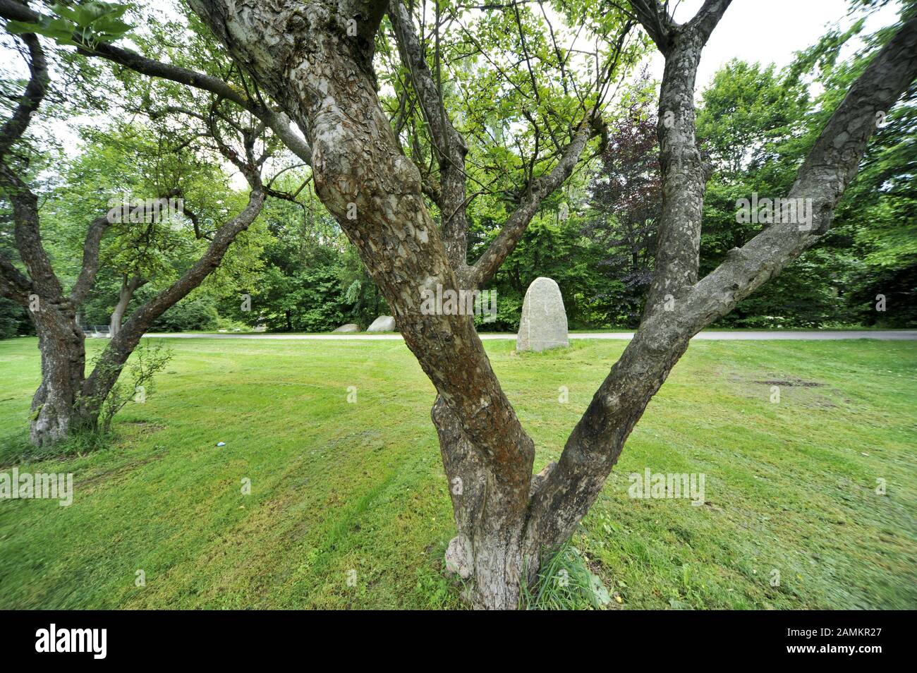 Trees and erratic blocks in the Weissensee Park in Giesing. [automated ...