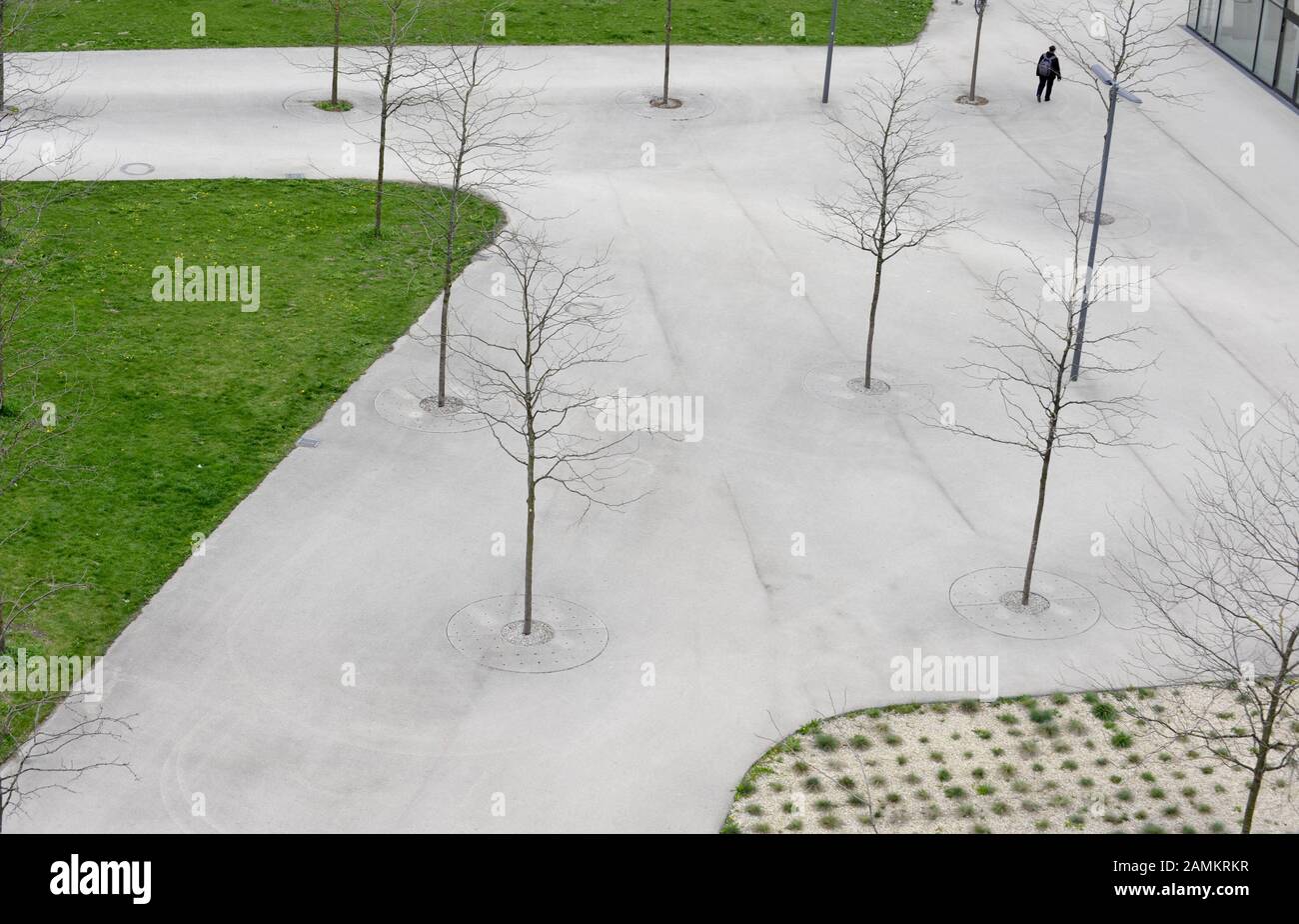 Broken trees hi-res stock photography and images - Alamy