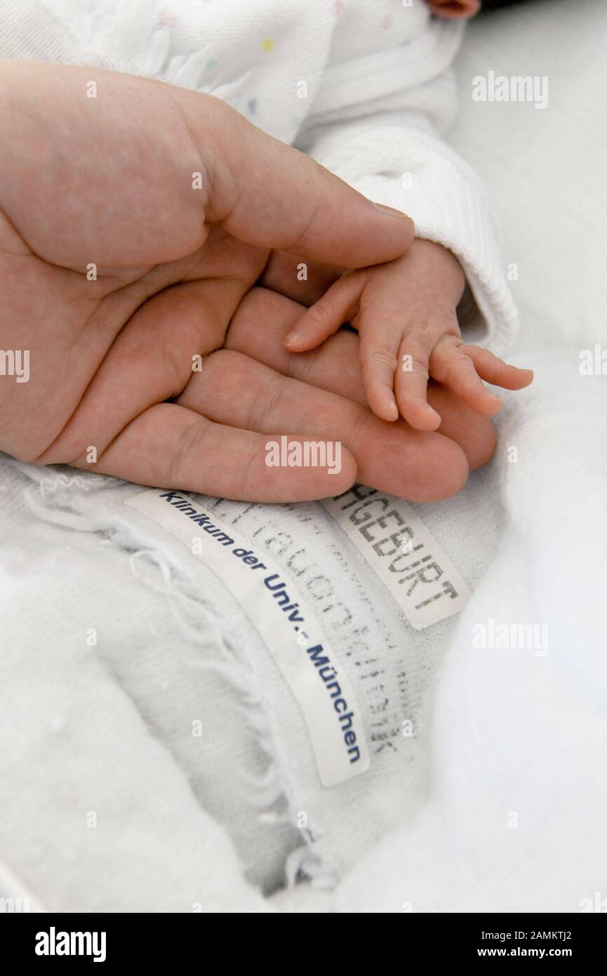 Premature baby in the "premature infant ward" at the Großhadern Clinic ...
