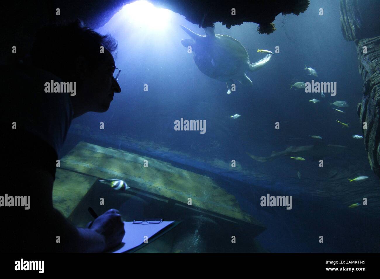 Technical inventory hi-res stock photography and images - Alamy