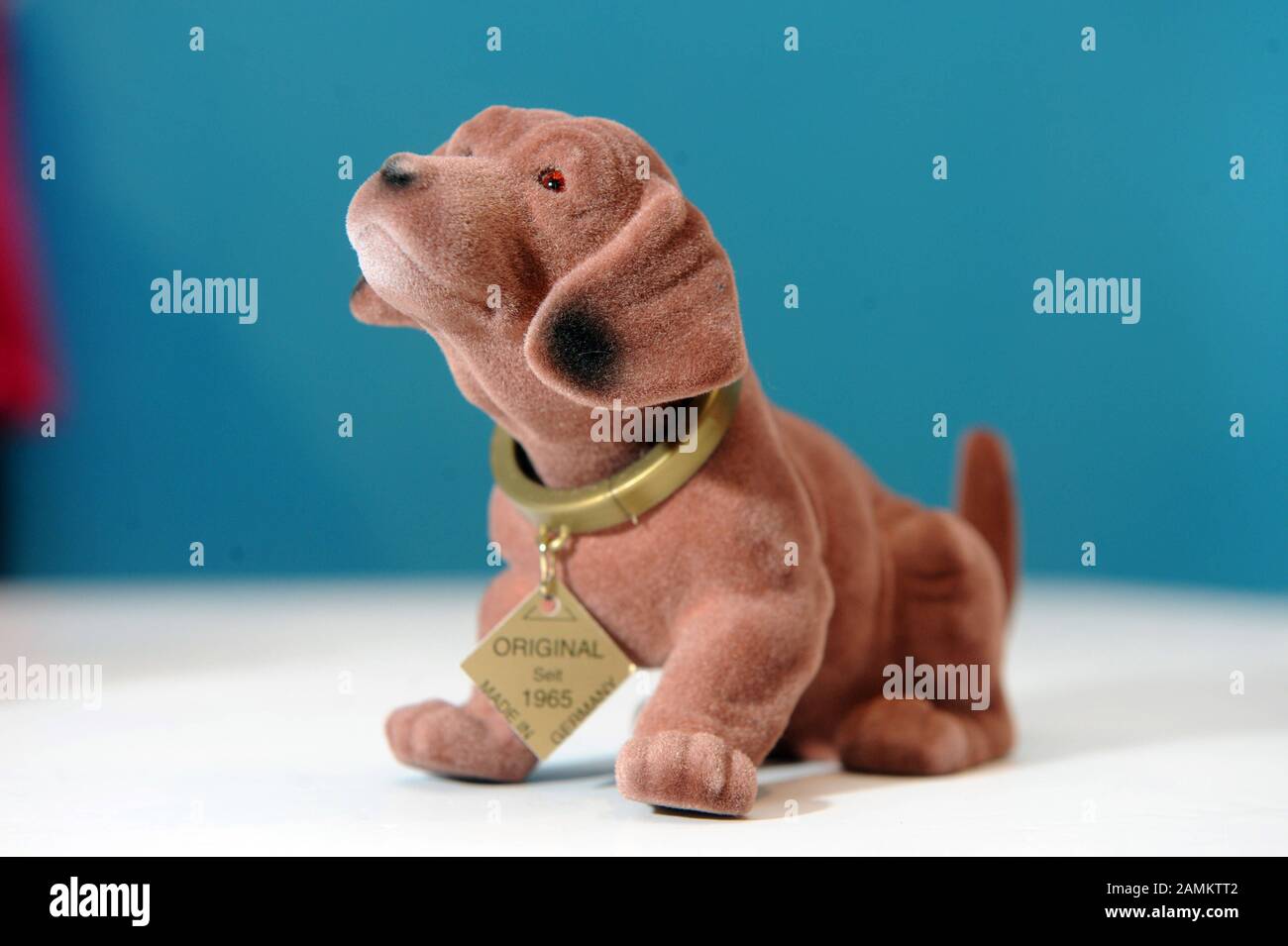Dachshund waldi hi-res stock photography and images - Alamy
