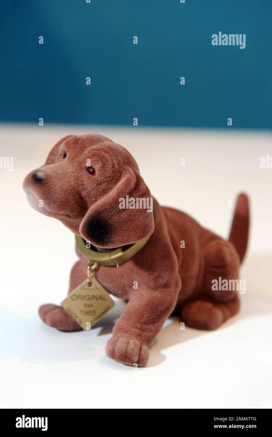 Waldi the dachshund hi-res stock photography and images - Alamy