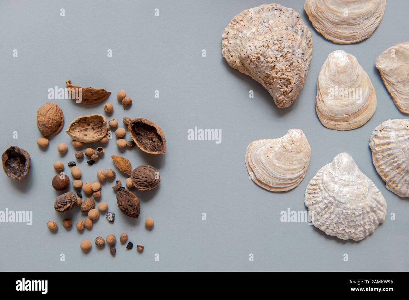 In its permanent exhibition 'Typical Munich', the Munich City Museum on ...