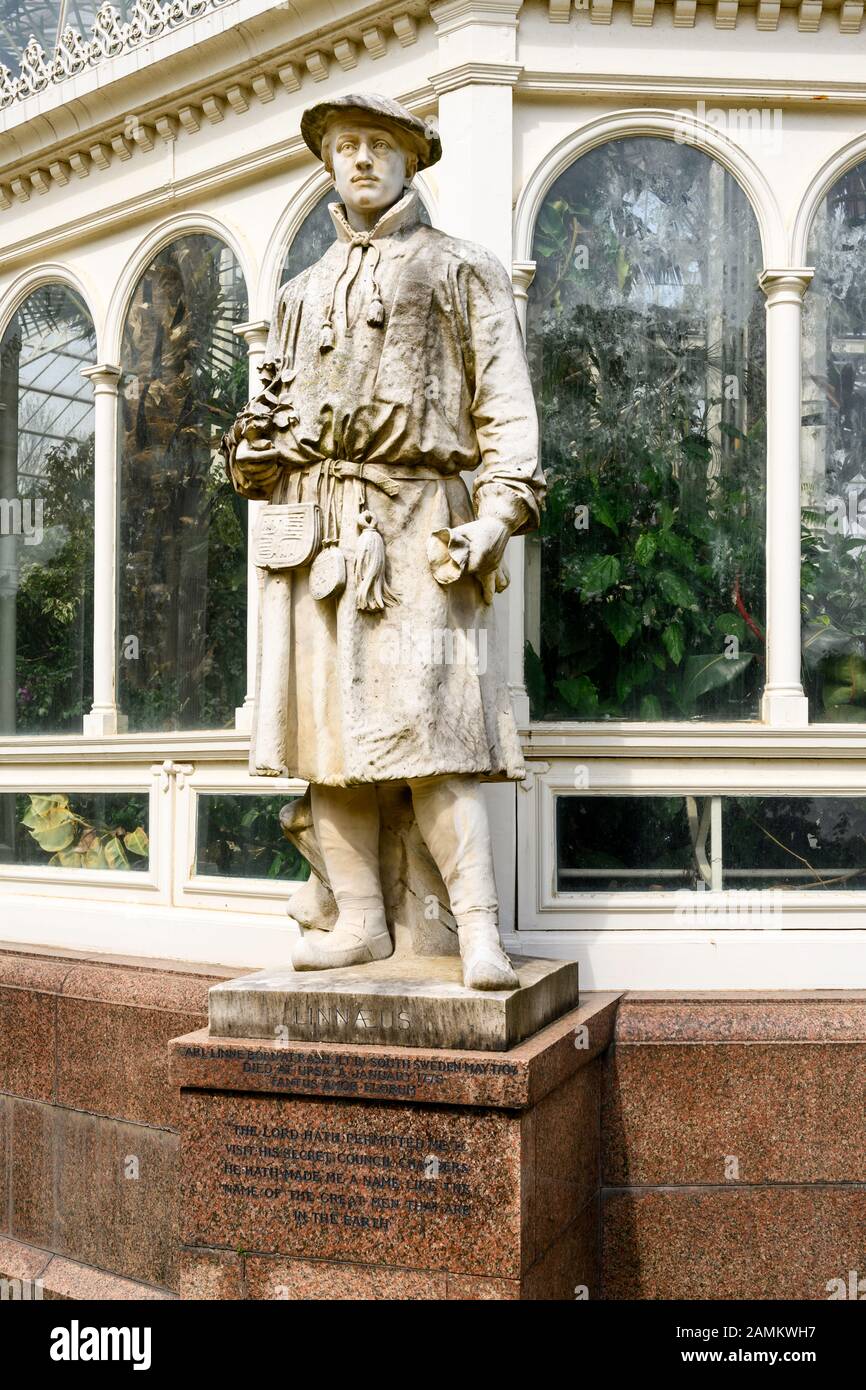 Statue of Carl Linnaeus by the French sculptor Léon-Joseph Chavalliaud ...