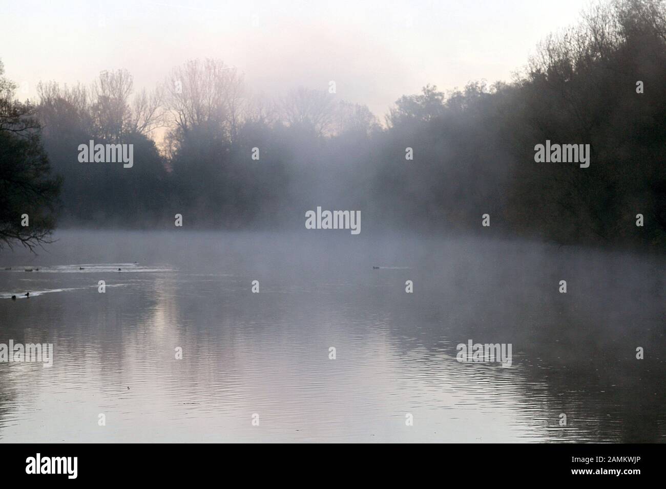 Morning mood with autumn fog at the Amper near Mitterndorf. [automated ...