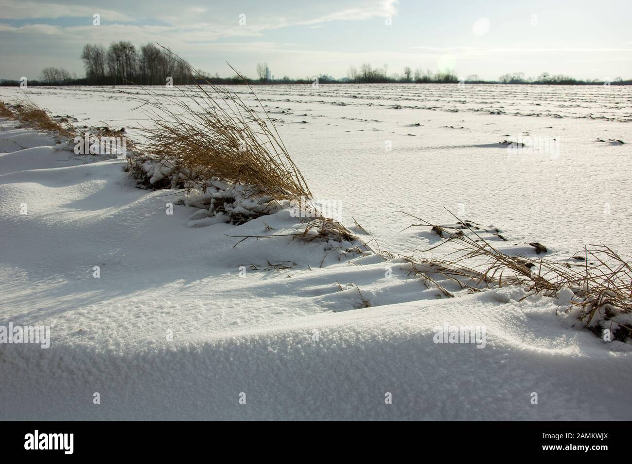 Snow dunes in the field, horizon and sky Stock Photo - Alamy