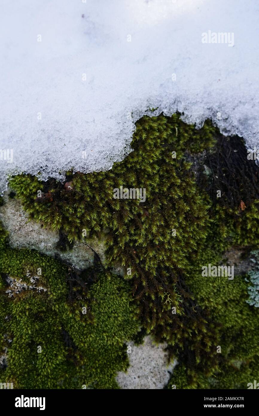 Snow and Ice Stock Photo - Alamy