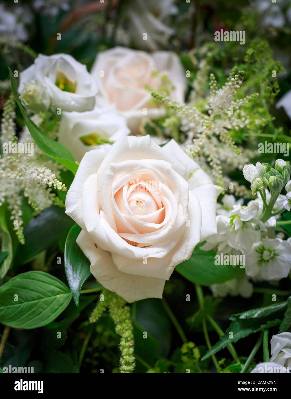 Perfect pale cream rosebud in a wedding bouquet floral arrangement ...
