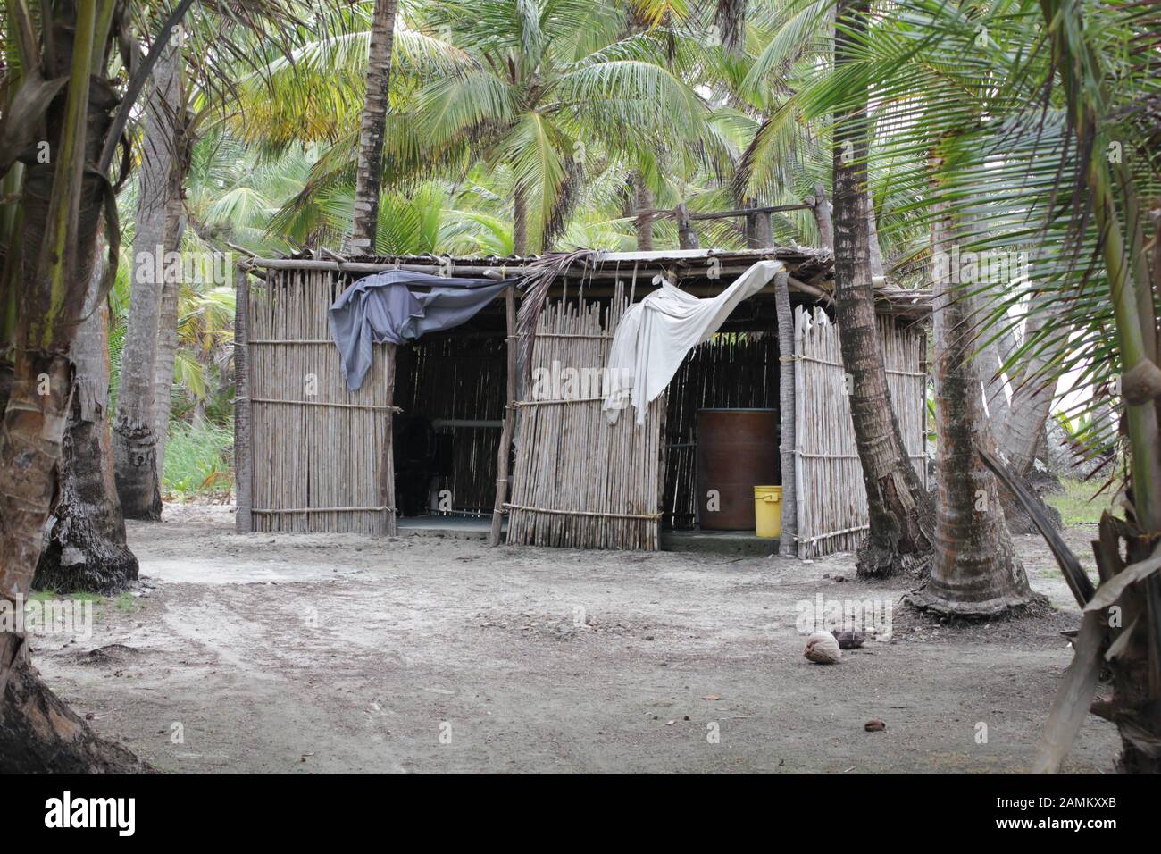 traditional hut with sanitary room of the Kuna Indians in the middle of ...