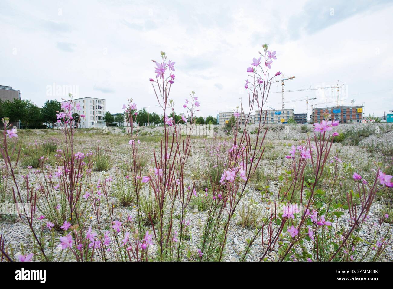 Building plots hi-res stock photography and images - Alamy