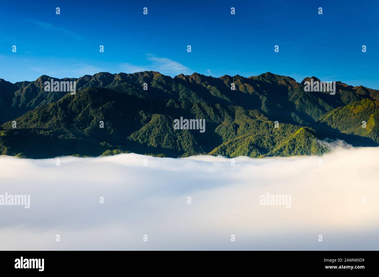 Fansipan, Fan Si Pan or Phan Xi Pang mountain the highest mountain in ...