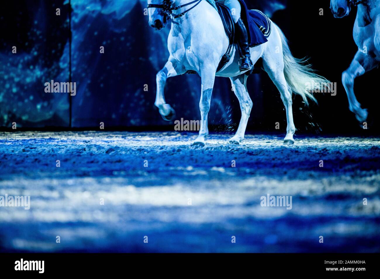 The horse show "Apassionata" with its program "The golden track" in the ...