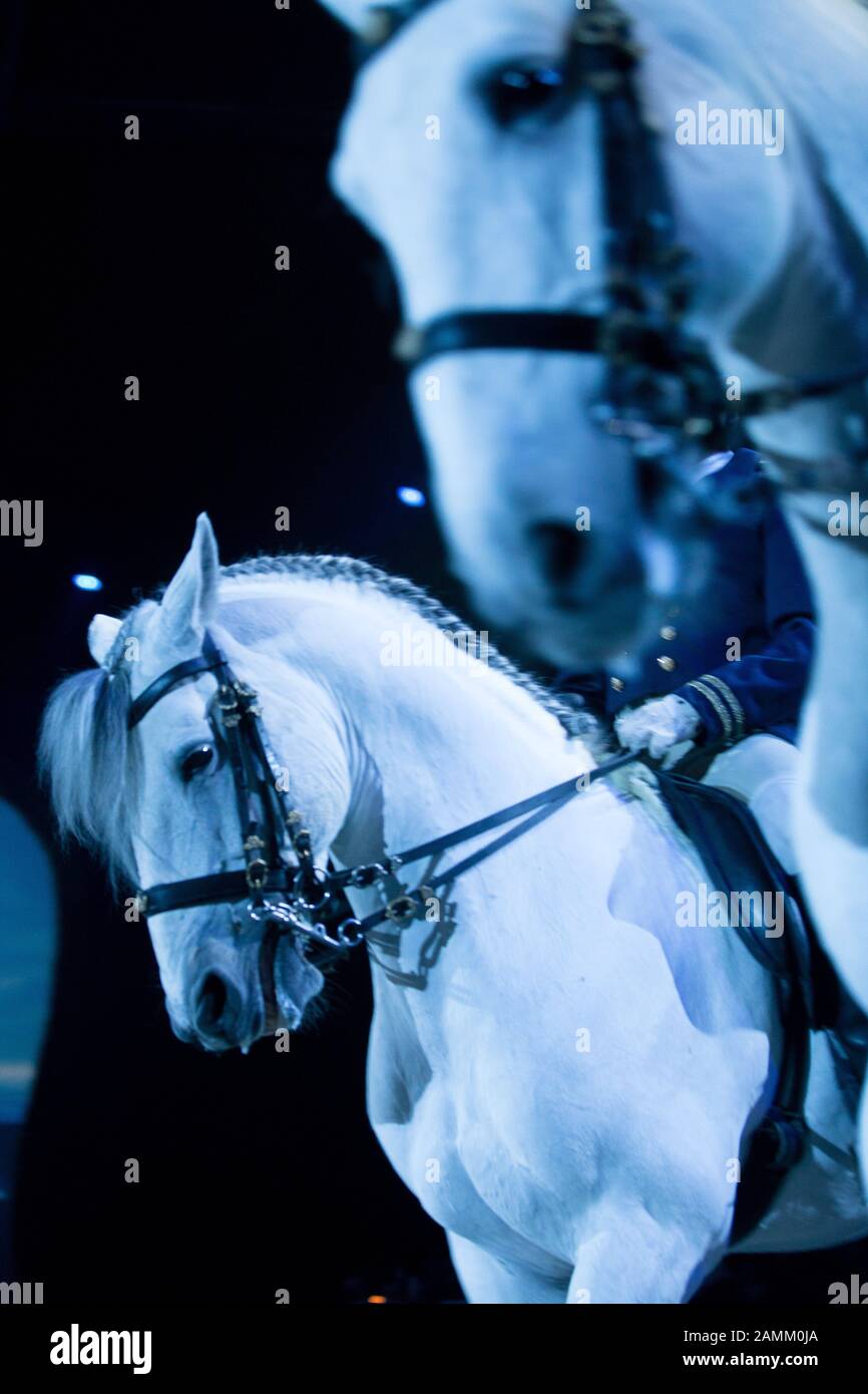 The horse show "Apassionata" with its program "The golden track" in the ...