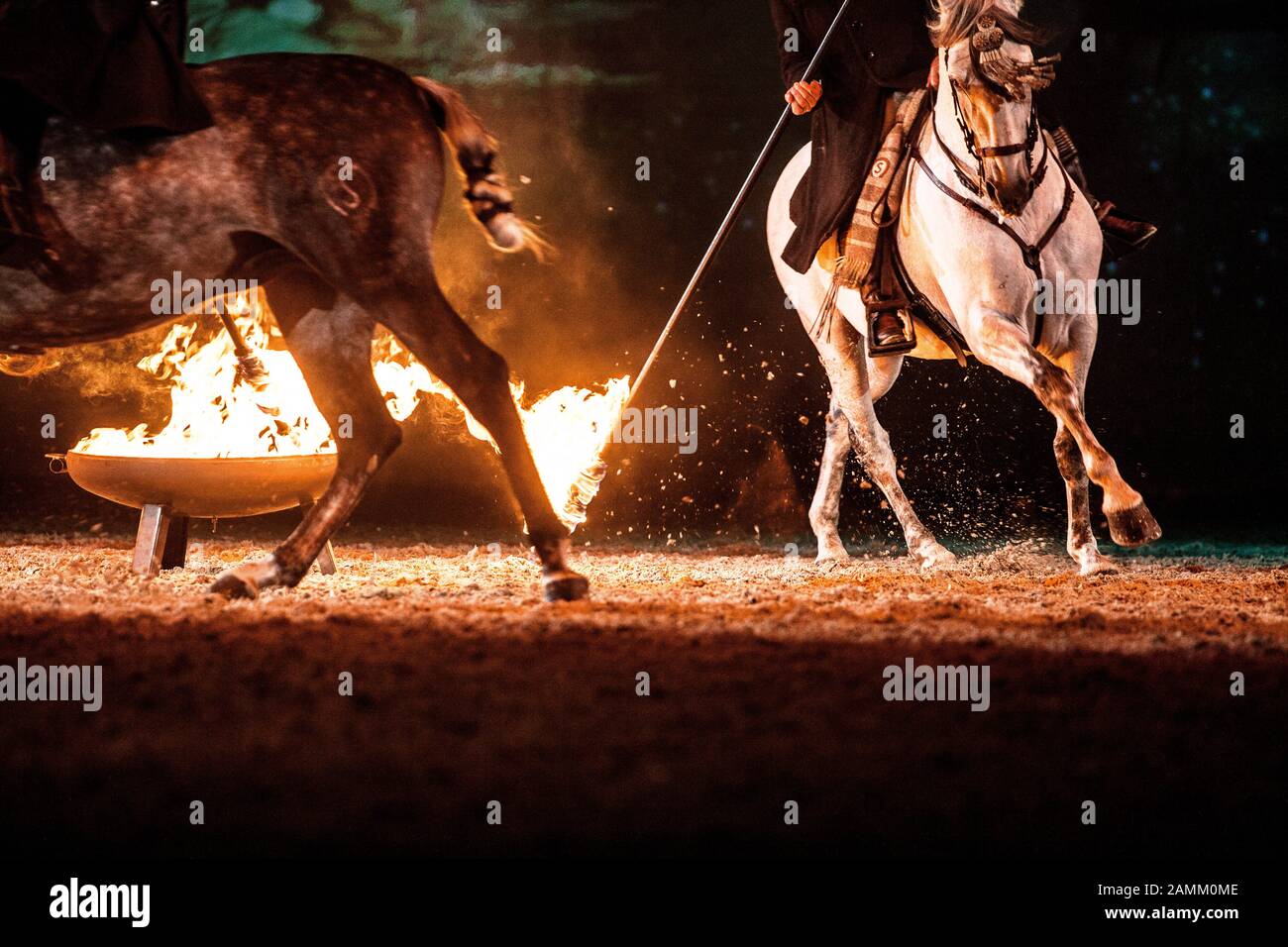 The horse show "Apassionata" with its program "The golden track" in the ...