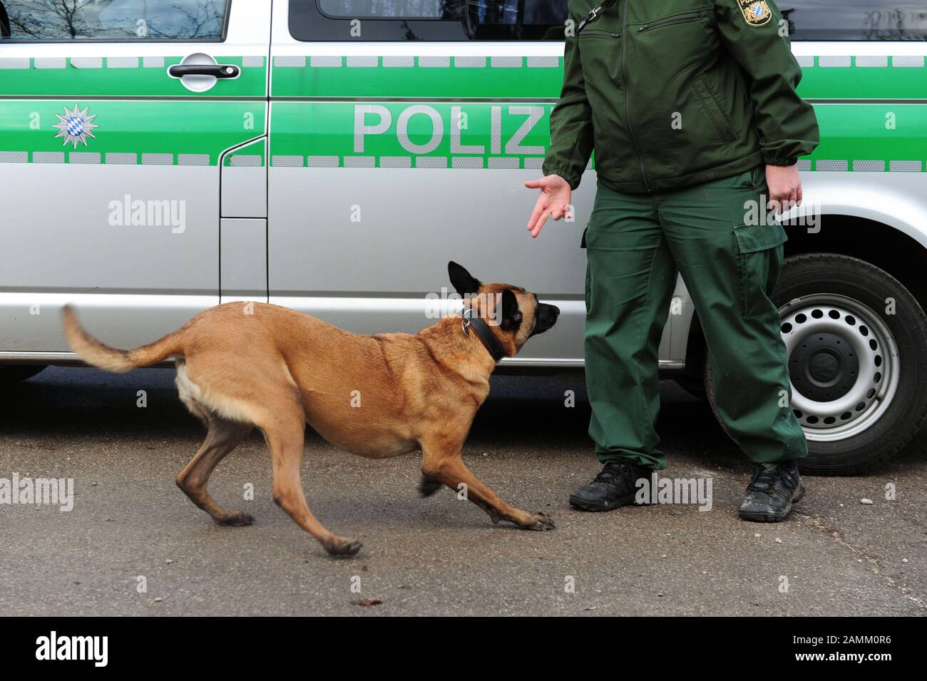 How Do Police Dogs Track Criminals