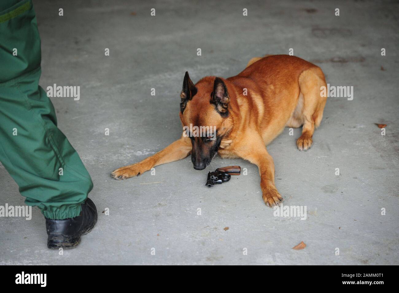 Police explosive training hi-res stock photography and images - Alamy