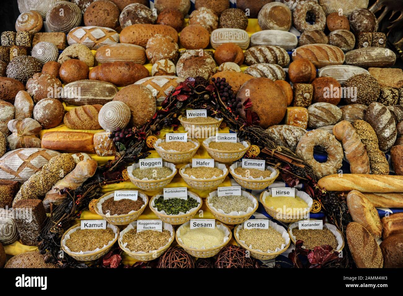 2015 testing hi-res stock photography and images - Alamy