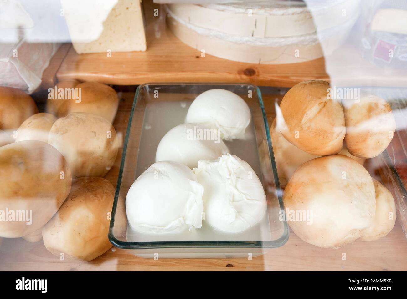 Buffalo mozzarella next to Scamorza (on the left, also called ...