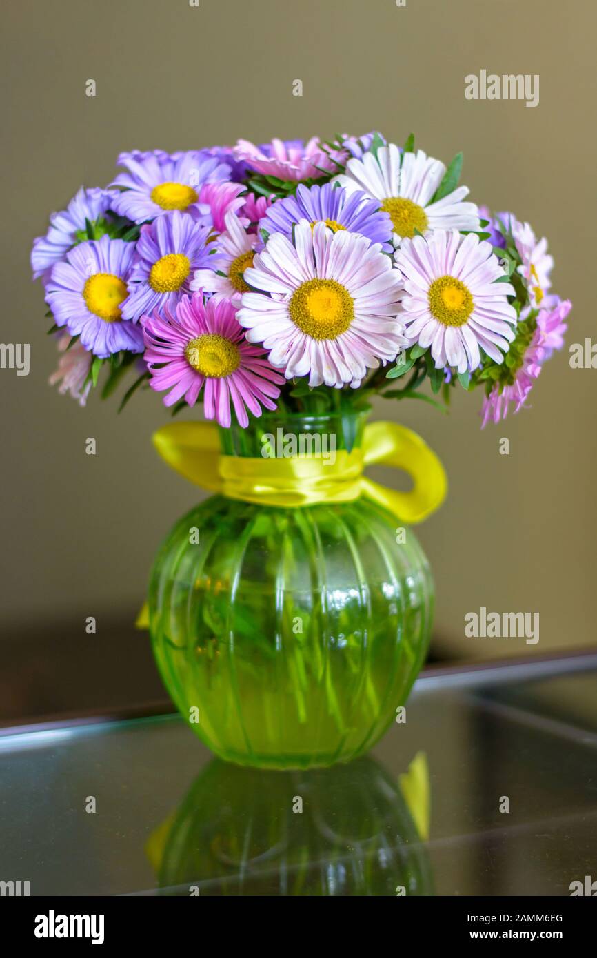 beautiful wild flowers photographed under natural light Stock Photo - Alamy