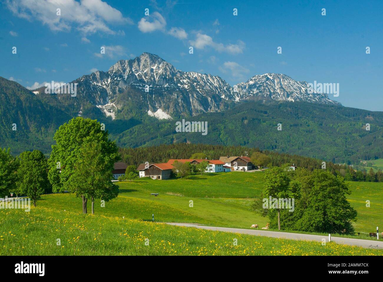 Panorama over the village of Sechshögl zum Hochstaufen and Zwiesel ...