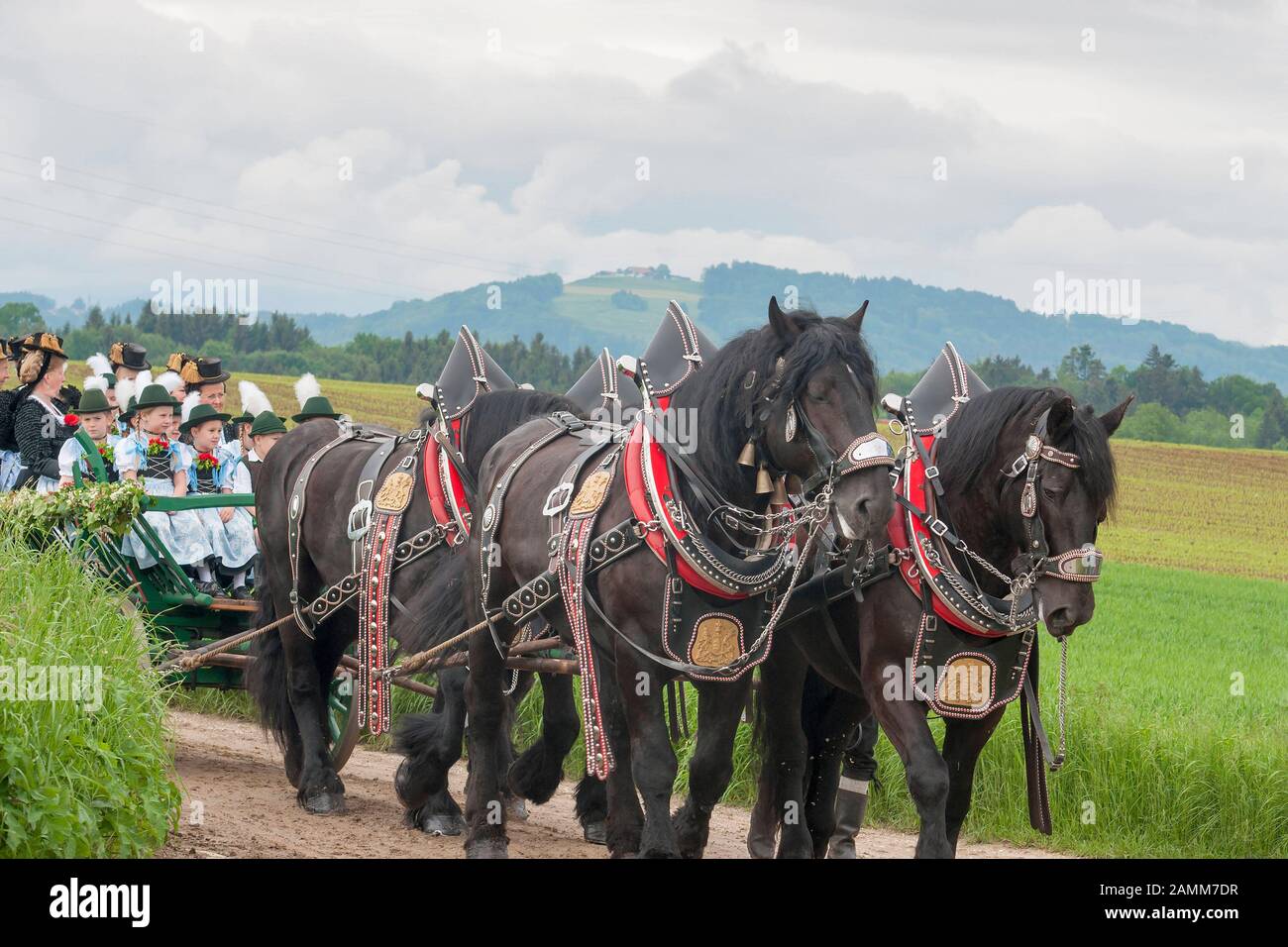 the traditional Leonhardiritt in Holzhausen - Teisendorf, Upper Bavaria ...