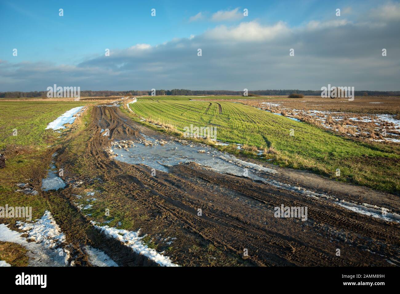 Frozen mud hi-res stock photography and images - Alamy