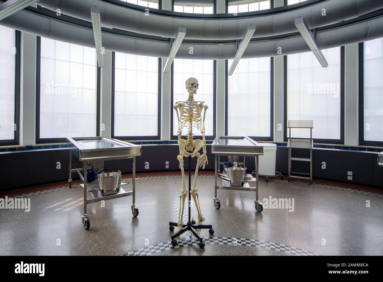 View of the Anatomical Institute of the Munich Ludwig-Maximilians ...
