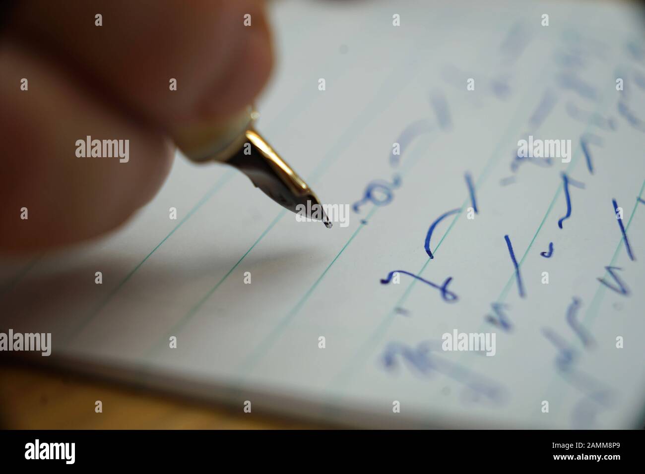 Stenographer Transcript