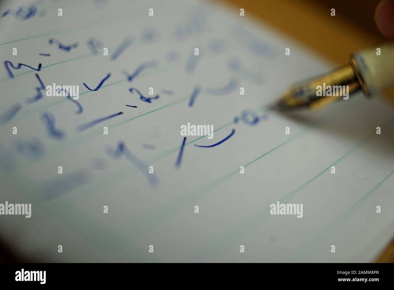 Stenographer Transcript
