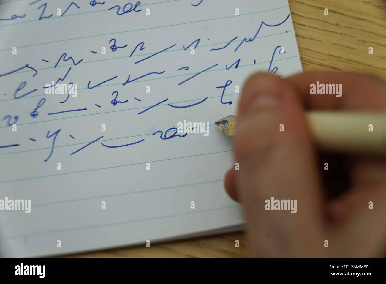 Stenographer Transcript Stenographer Transcript