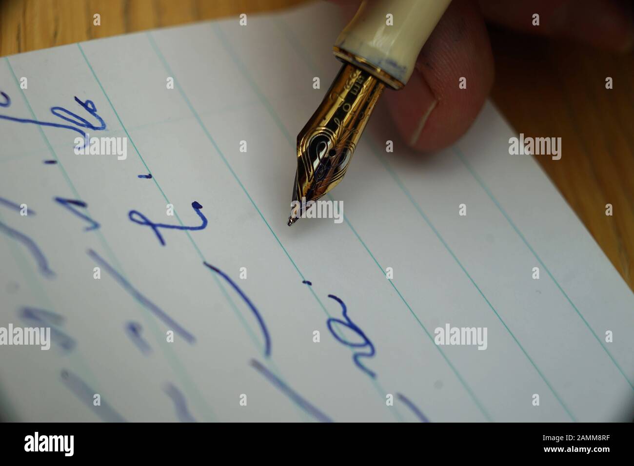 Stenographer Transcript Stenographer Transcript