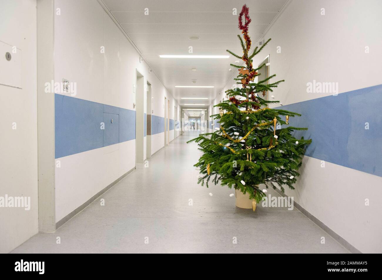 Decorated Christmas tree in the cell wing of the Stadelheim prison (JVA ...
