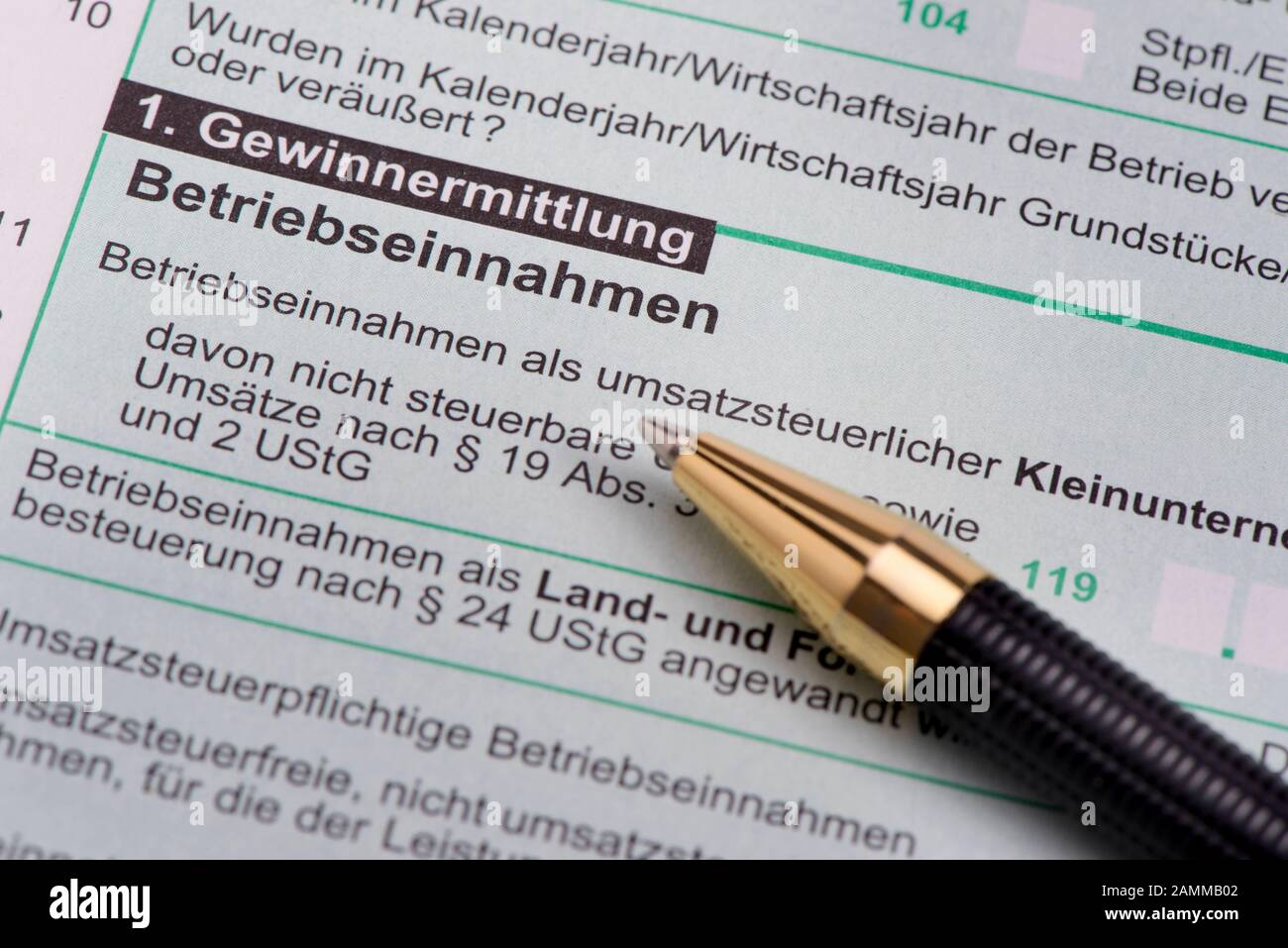 Tax return for tax office with determination of profit and operating ...