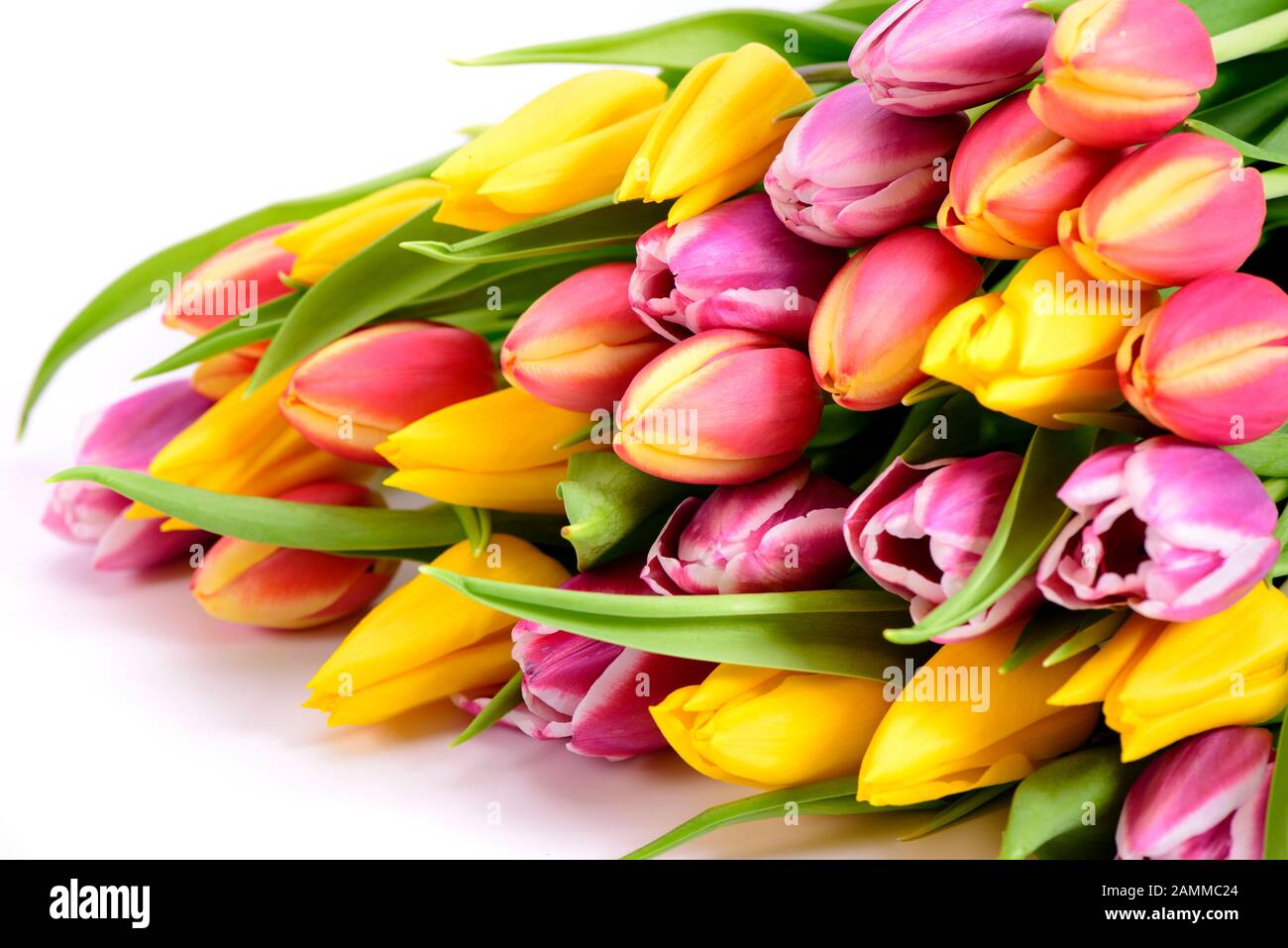 Bouquet with fresh tulips [automated translation] Stock Photo - Alamy