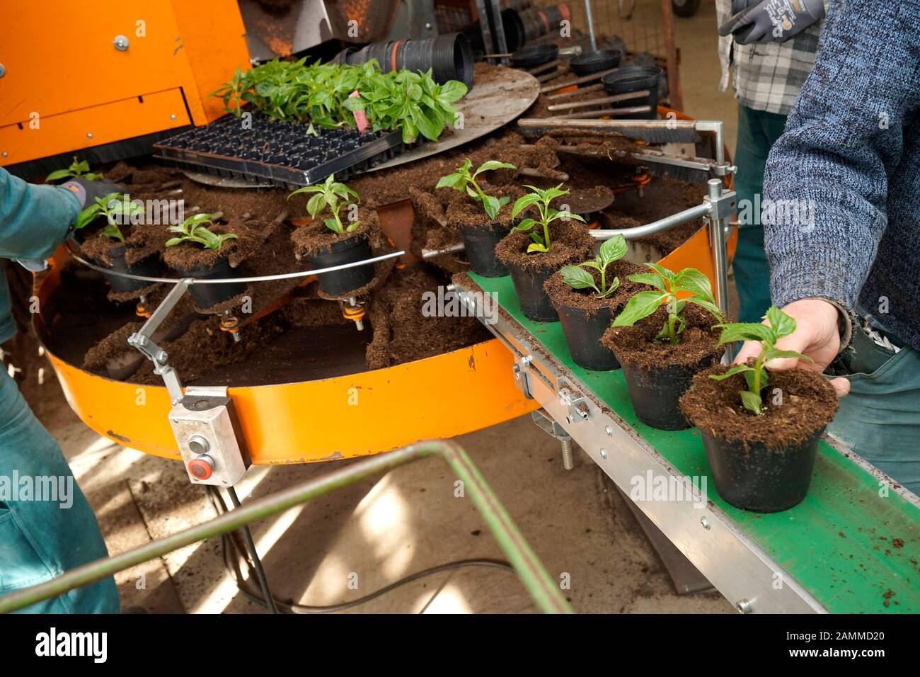 Planting machine hi-res stock photography and images - Alamy