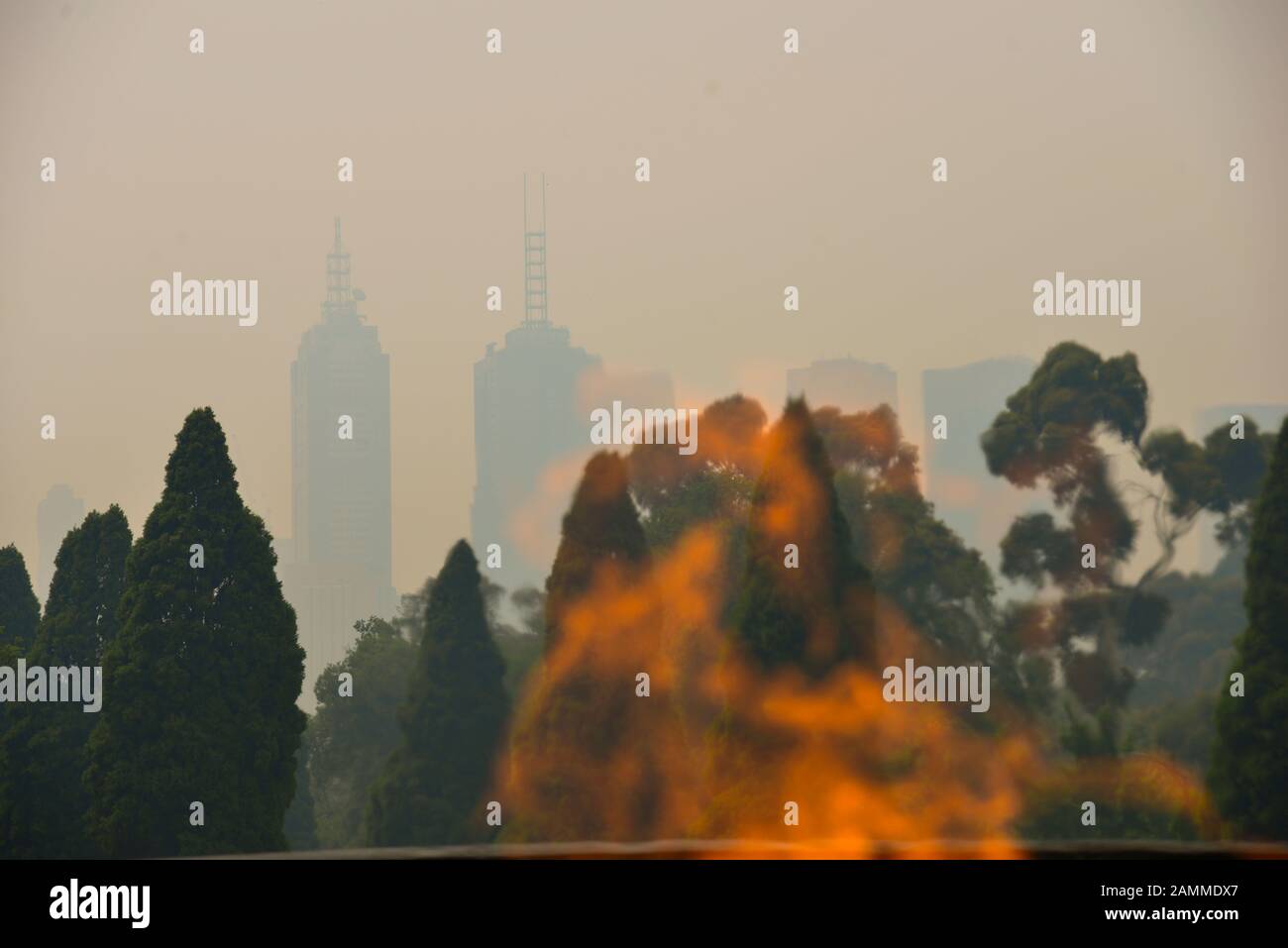 Flames and Trees from Fires with Health Hazardous Bush Fire Smoke ...