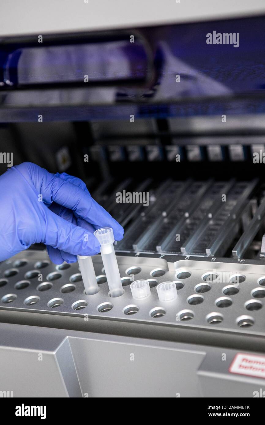 Laboratory for Immunogenetics and Molecular Diagnostics at the Ludwig-Maximilians-Universität ...