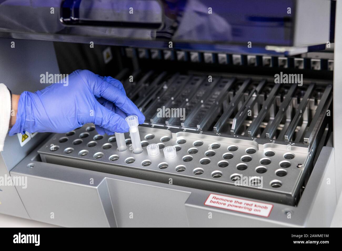 Laboratory for Immunogenetics and Molecular Diagnostics at the Ludwig-Maximilians-Universität ...