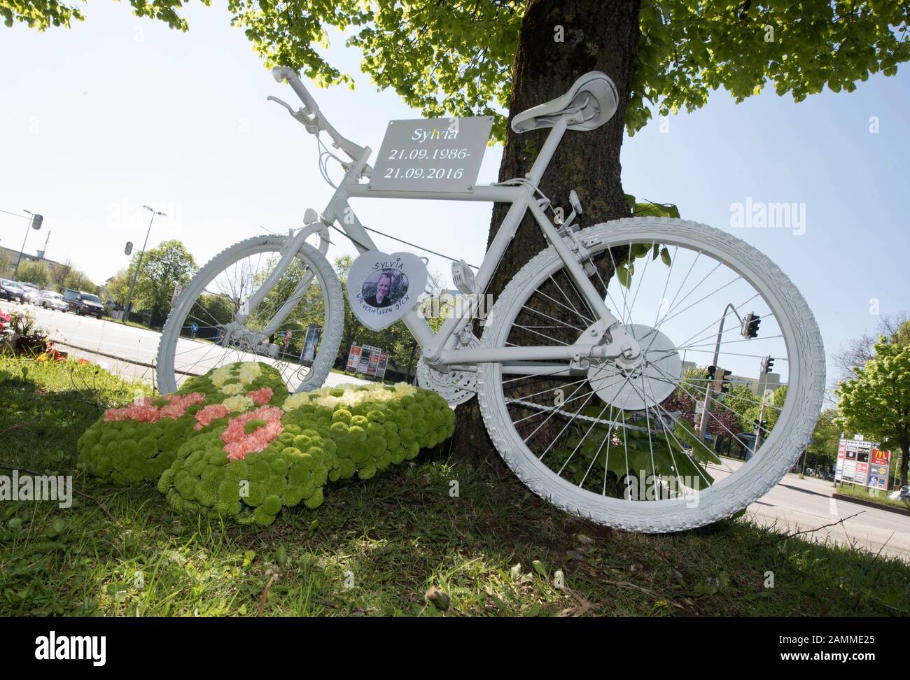 A white painted bicycle (ghostbike) reminds of a cyclist who had a ...